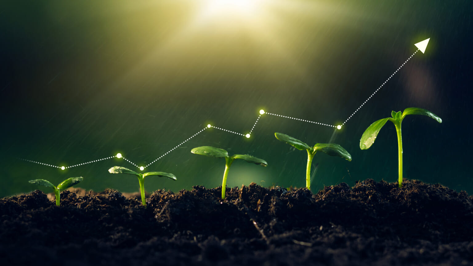 SaaSスタートアップが目指す急成長モデル「T2D3」とは？｜EXPACT｜スタートアップ｜新たな挑戦に旗を掲げよう。｜